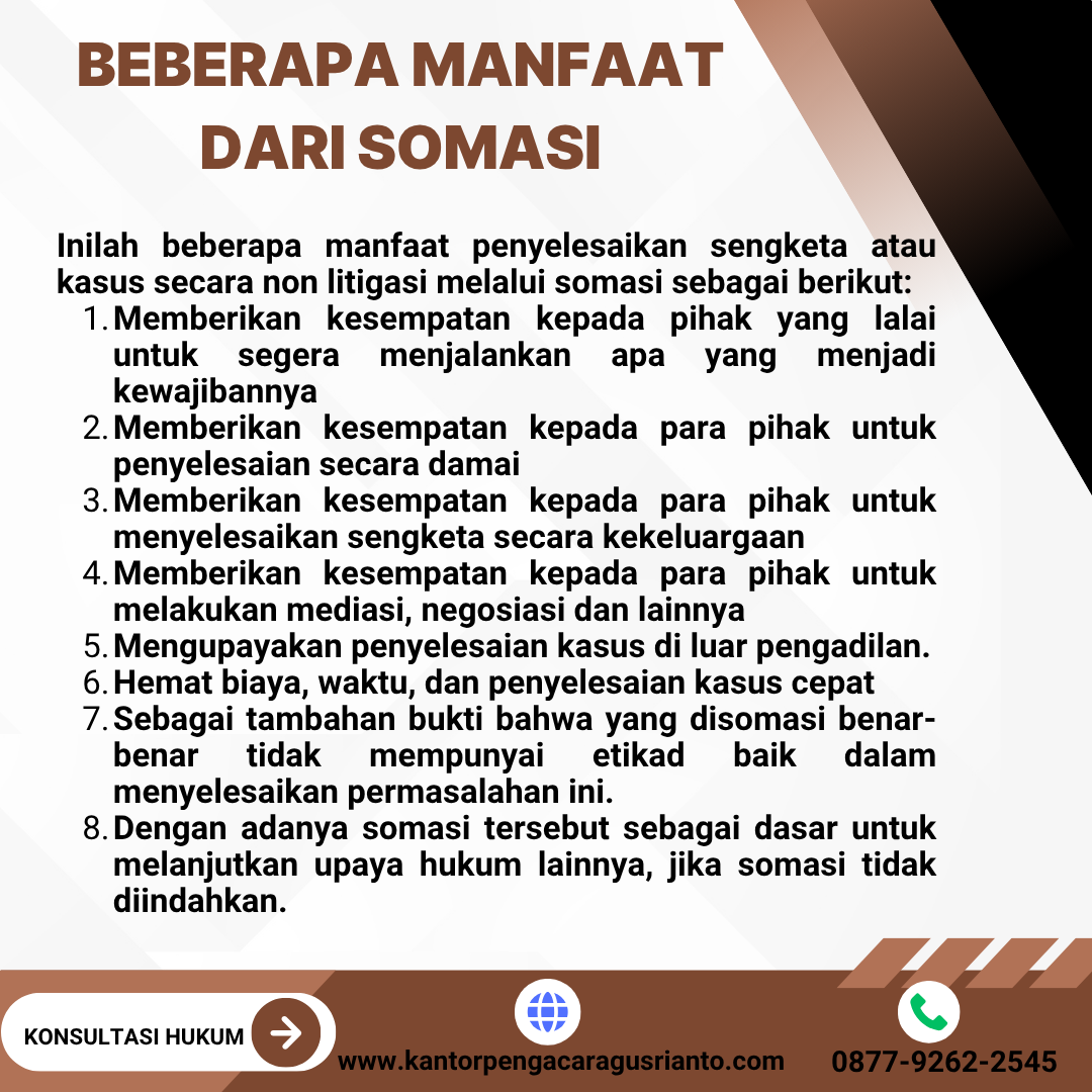 BEBERAPA MANFAAT DARI SOMASI